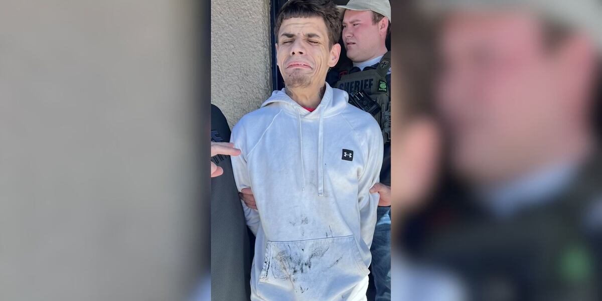Man Arrested After Nearly Hitting Officers During Undercover Sex Sting