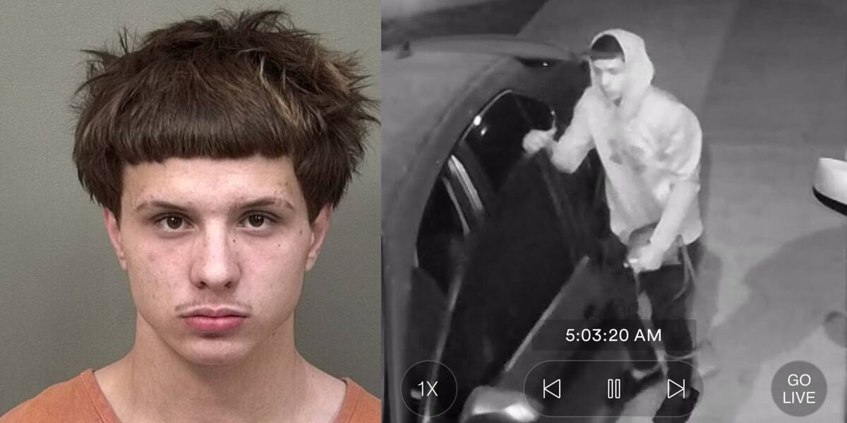 Teen Suspected Of 14 Car Burglaries Arrested In Clarksville